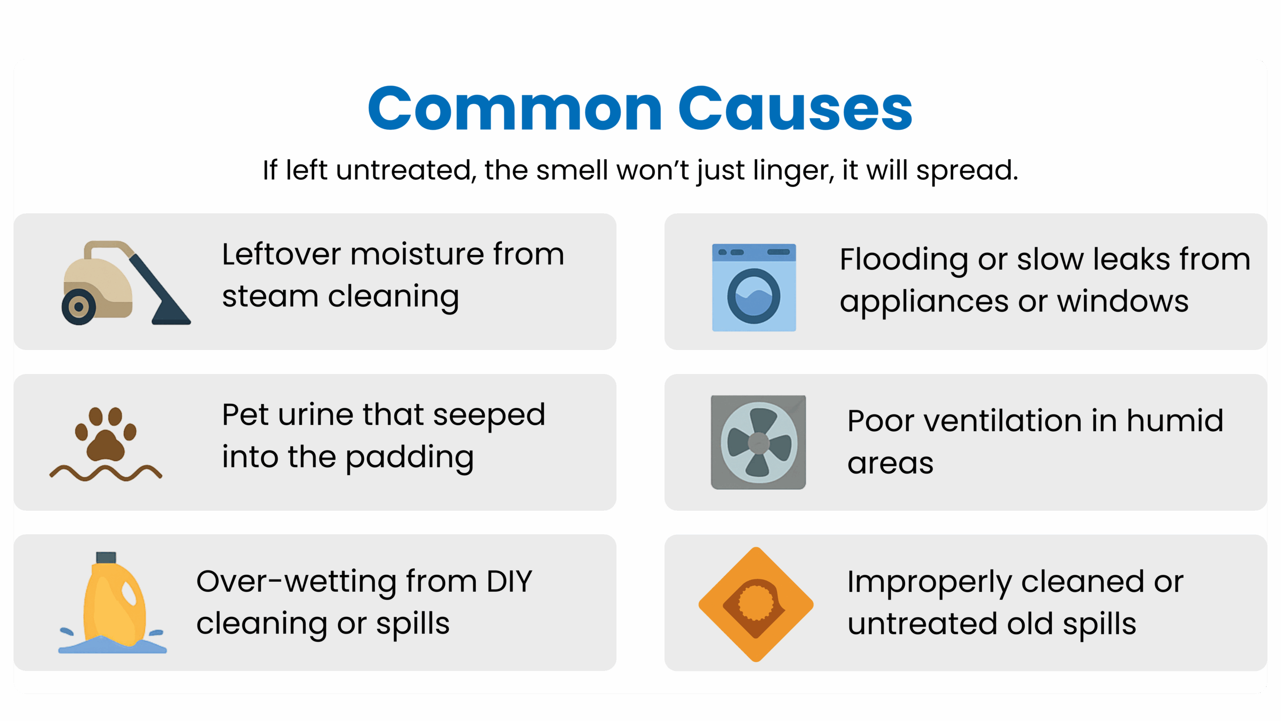 Wet Carpet Smell Health Risk